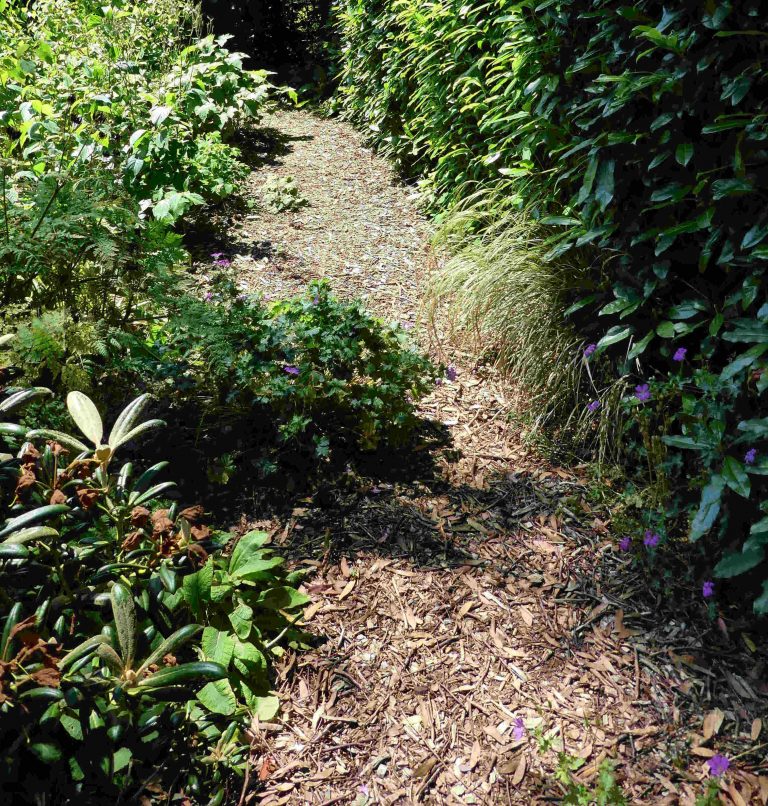 Curved Oak Deck and Pathway | Julie Cox Garden Design